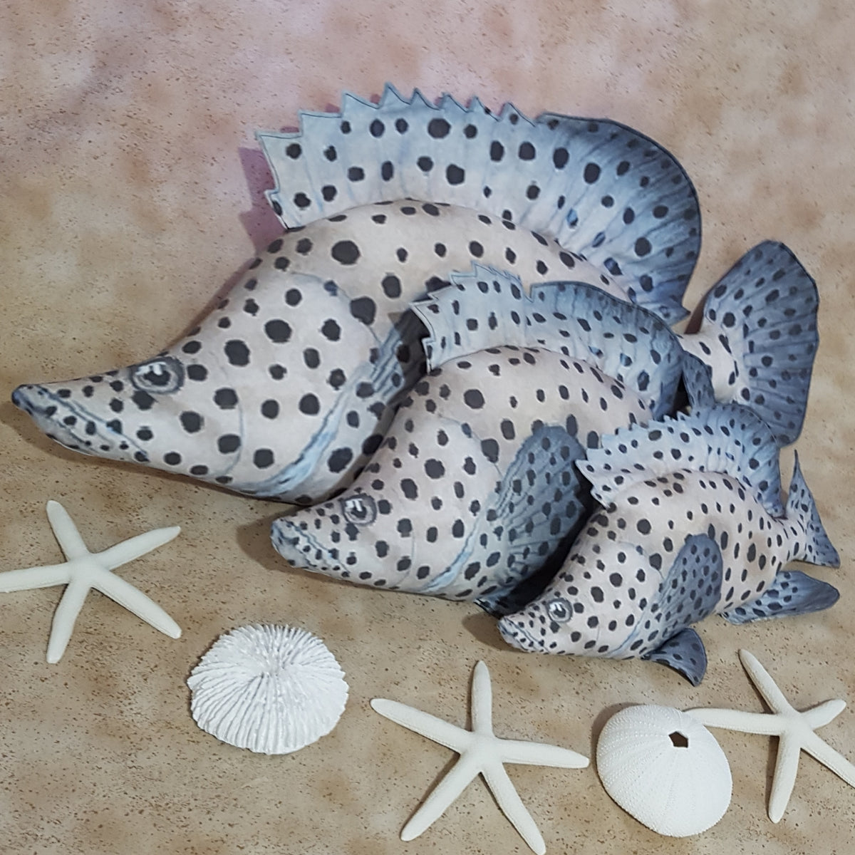 BARRAMUNDI COD LGE – UNREEL FISH